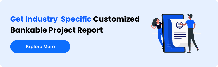 Detailed Project Report to Start a New Business: A Complete Guide, Format, PDF | IID